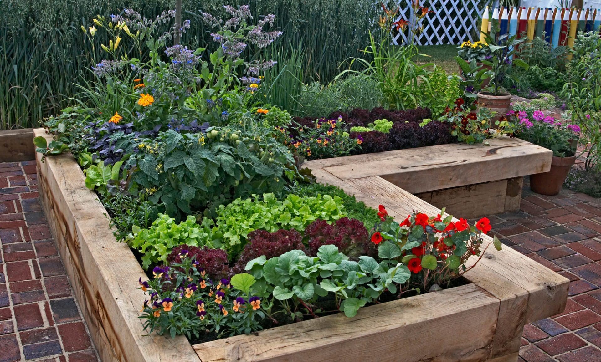 9 Ways Help Your Garden Survive Summer - Inspect Co. L.L.C